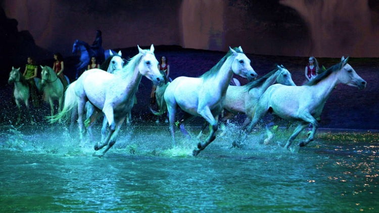 Odysseo by Cavalia: Theatrical Equine Extravaganza in Chicago ...