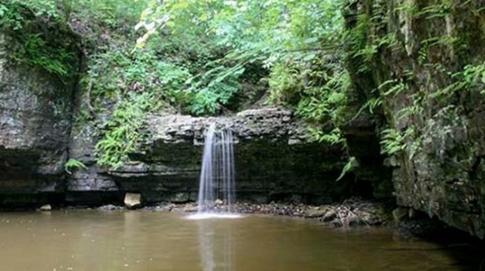 Full Moon Hike at Waterfall Glen | StyleChicago.com
