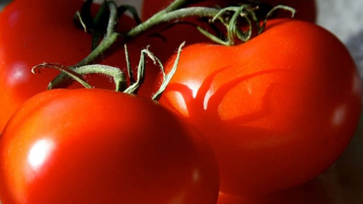 Tomato Throw Show: Comedians Must Get Laughs | StyleChicago.com