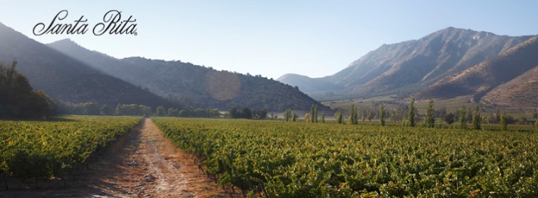 Santa Rita Wines - Chiles's Premier Wine Estate | StyleChicago.com