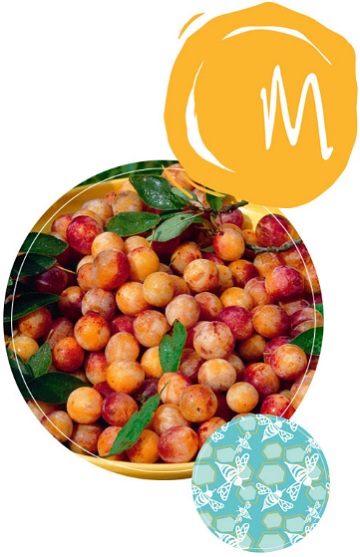 Mirabelle Studio - Fresh Art & Creative Projects | StyleChicago.com