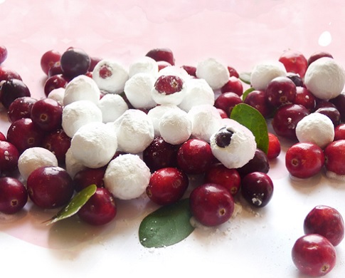 Amy's Cranberry Candy - Always Healthy, Always Fresh