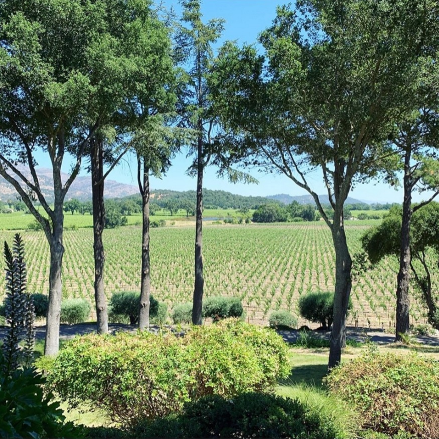 Tom Gamble, Proprietor of Gamble Family Vineyards